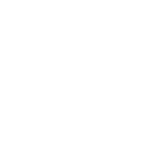 ePassport Solutions - Ho&Bros